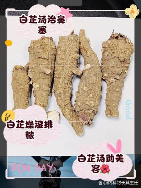 长期喝白芷水有什么副作用_白芷水长期饮用危害-第1张图片-山城妙识 长期喝白芷水有什么副作用_白芷水长期饮用危害-第1张图片-山城妙识