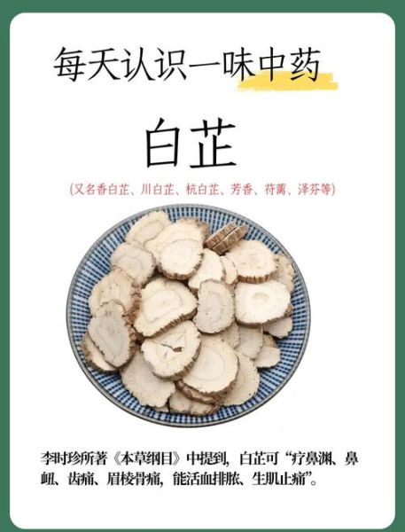 长期喝白芷水有什么副作用_白芷水长期饮用危害-第2张图片-山城妙识 长期喝白芷水有什么副作用_白芷水长期饮用危害-第2张图片-山城妙识