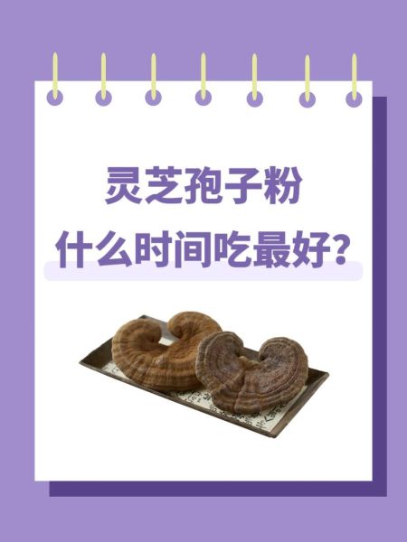 灵芝孢子粉多少钱一斤_灵芝孢子粉价格差异原因-第3张图片-山城妙识 灵芝孢子粉多少钱一斤_灵芝孢子粉价格差异原因-第3张图片-山城妙识