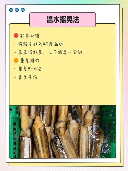 冷冻蛏子怎么洗_冷冻蛏子清洗方法-第1张图片-山城妙识