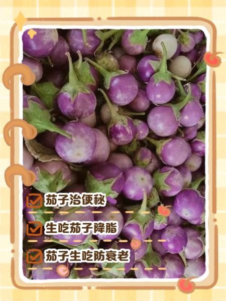 孕妇可以吃茄子吗_孕妇吃茄子的好处和坏处-第2张图片-山城妙识 孕妇可以吃茄子吗_孕妇吃茄子的好处和坏处-第2张图片-山城妙识