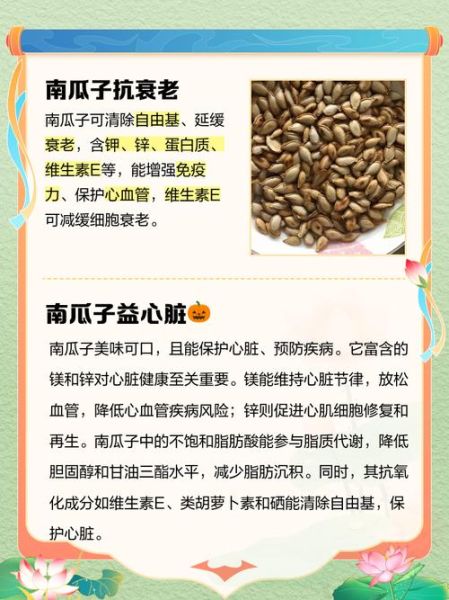 女人每天吃南瓜子好吗_吃多少才健康-第1张图片-山城妙识 女人每天吃南瓜子好吗_吃多少才健康-第1张图片-山城妙识