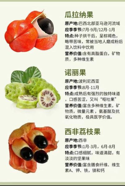 1000种水果名字大全_哪些水果名字最冷门-第3张图片-山城妙识 1000种水果名字大全_哪些水果名字最冷门-第3张图片-山城妙识