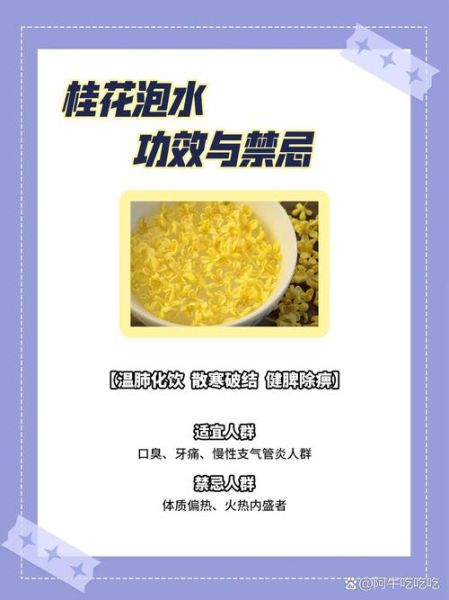 桂花茶的功效与作用_桂花泡水喝的禁忌-第2张图片-山城妙识 桂花茶的功效与作用_桂花泡水喝的禁忌-第2张图片-山城妙识