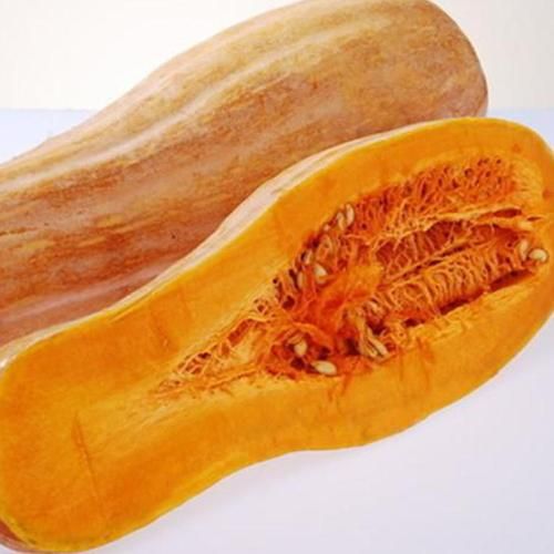 长南瓜图片大全_长南瓜品种有哪些-第2张图片-山城妙识