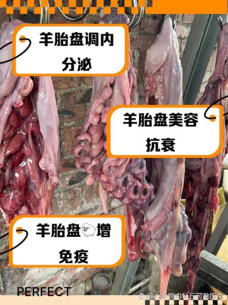 羊胎盘怎么吃效果最好_羊胎盘的功效与作用-第2张图片-山城妙识 羊胎盘怎么吃效果最好_羊胎盘的功效与作用-第2张图片-山城妙识