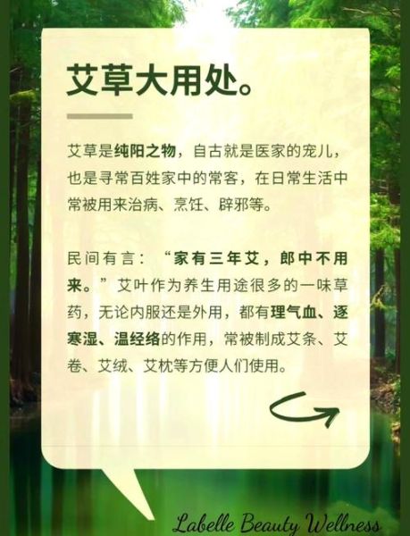 艾草怎么治妇科炎症_艾草治妇科炎症怎么用-第1张图片-山城妙识 艾草怎么治妇科炎症_艾草治妇科炎症怎么用-第1张图片-山城妙识