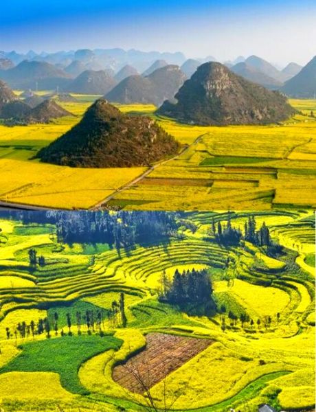 罗平油菜花最佳观景点在哪里_罗平油菜花几月份去最好-第1张图片-山城妙识 罗平油菜花最佳观景点在哪里_罗平油菜花几月份去最好-第1张图片-山城妙识