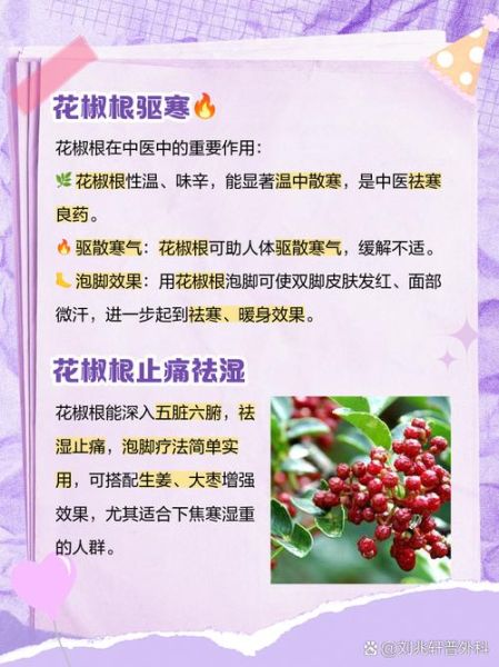 野花椒根的功效与作用_野花椒根怎么使用-第2张图片-山城妙识 野花椒根的功效与作用_野花椒根怎么使用-第2张图片-山城妙识