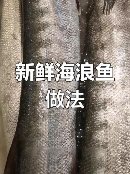 海狼鱼长什么样_海狼鱼有毒吗-第2张图片-山城妙识 海狼鱼长什么样_海狼鱼有毒吗-第2张图片-山城妙识