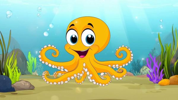 章鱼图片可爱_为什么章鱼这么萌-第1张图片-山城妙识 章鱼图片可爱_为什么章鱼这么萌-第1张图片-山城妙识