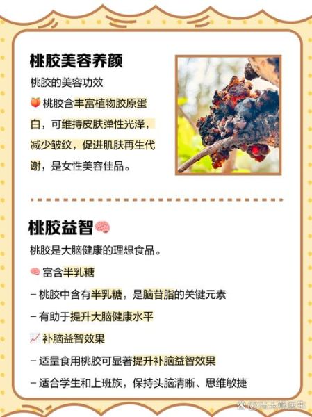 女性吃桃胶有什么好处_桃胶的功效与作用-第1张图片-山城妙识 女性吃桃胶有什么好处_桃胶的功效与作用-第1张图片-山城妙识