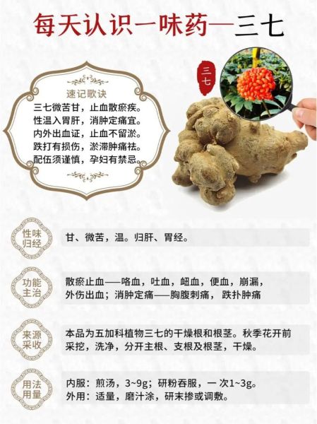 三七的功效与作用_三七主治哪些病-第1张图片-山城妙识