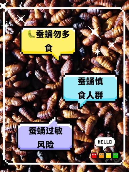 蚕蛹为什么不能天天吃_蚕蛹吃多了有什么危害-第1张图片-山城妙识