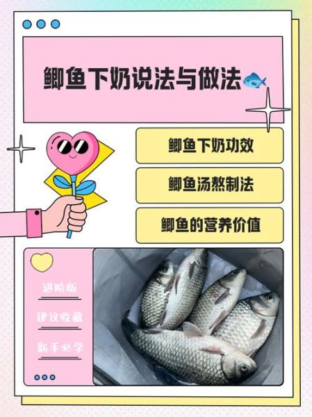 通草鲫鱼汤喝几天见效_哺乳期多久下奶-第1张图片-山城妙识 通草鲫鱼汤喝几天见效_哺乳期多久下奶-第1张图片-山城妙识