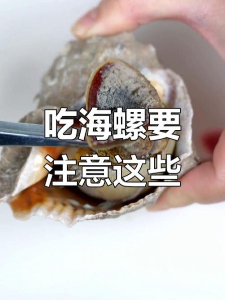 海螺后半截是屎还是黄_怎么分辨能吃部位-第2张图片-山城妙识 海螺后半截是屎还是黄_怎么分辨能吃部位-第2张图片-山城妙识