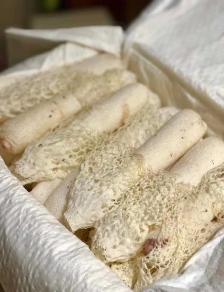 竹荪哪些部位不能吃_竹荪的菌盖和菌托要去掉吗-第2张图片-山城妙识 竹荪哪些部位不能吃_竹荪的菌盖和菌托要去掉吗-第2张图片-山城妙识