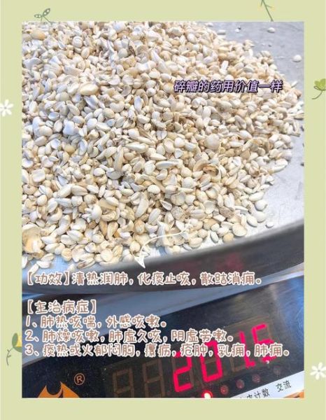 川贝和川贝母一样吗_川贝与川贝母区别-第2张图片-山城妙识 川贝和川贝母一样吗_川贝与川贝母区别-第2张图片-山城妙识