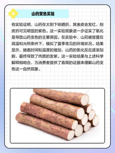 山药粘液要洗掉吗_山药削皮后怎么处理-第1张图片-山城妙识