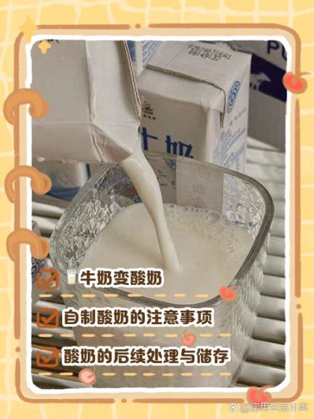 酸奶发酵剂怎么选_自制酸奶发酵剂工艺流程-第3张图片-山城妙识