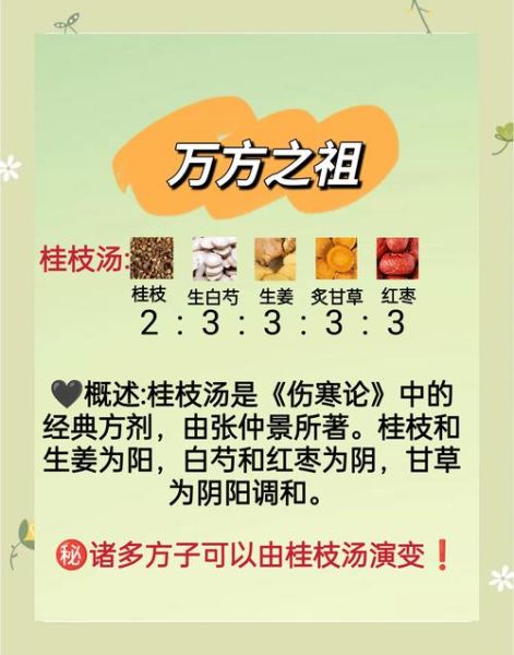 桂枝汤方歌功效与禁忌_桂枝汤适合哪些症状-第1张图片-山城妙识