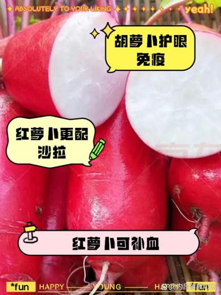 红胡萝卜和黄胡萝卜哪个好_营养成分差异-第2张图片-山城妙识 红胡萝卜和黄胡萝卜哪个好_营养成分差异-第2张图片-山城妙识