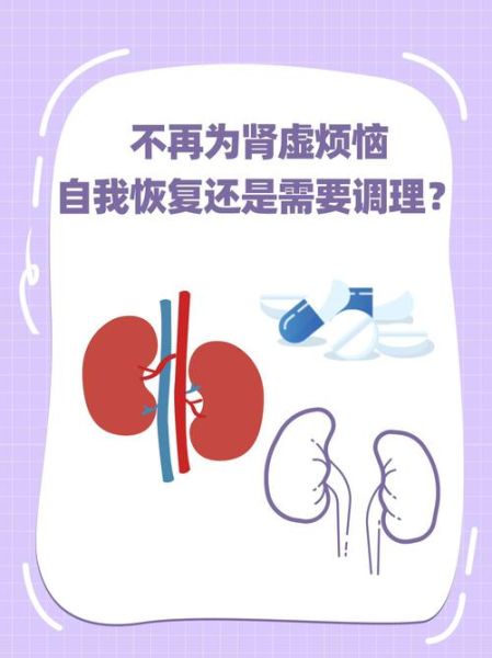 肾虚能自己恢复吗_肾虚多久能恢复-第3张图片-山城妙识 肾虚能自己恢复吗_肾虚多久能恢复-第3张图片-山城妙识
