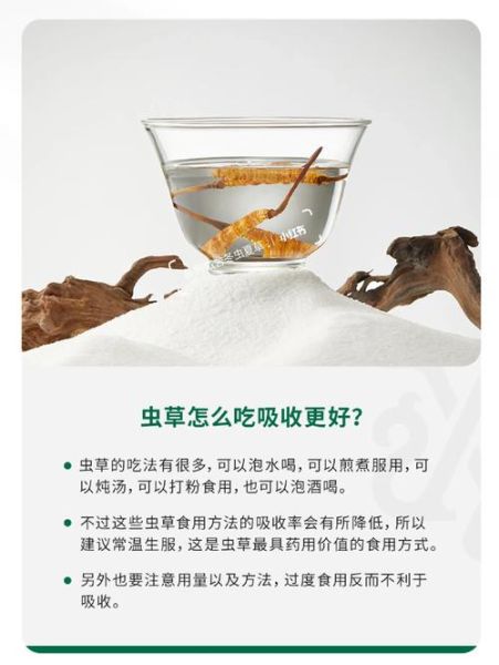 冬虫夏草怎么吃效果最好_冬虫夏草的正确吃法-第1张图片-山城妙识 冬虫夏草怎么吃效果最好_冬虫夏草的正确吃法-第1张图片-山城妙识