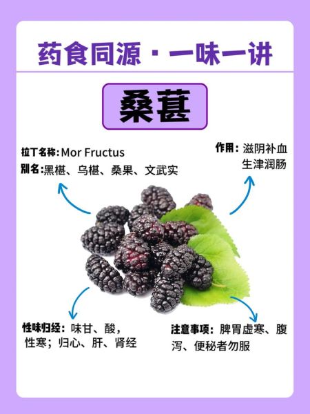 桑葚果的功效与作用_桑葚果怎么吃效果最好-第2张图片-山城妙识