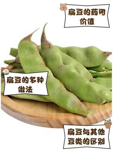 扁豆有几种_扁豆品种怎么区分-第3张图片-山城妙识