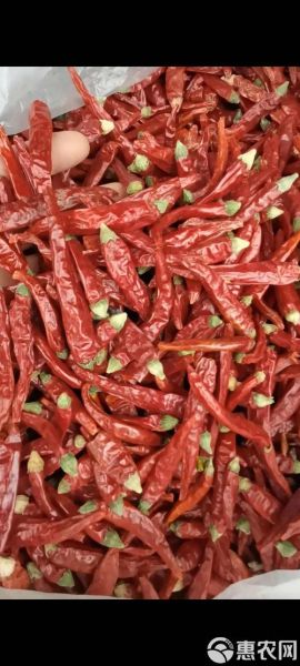 朝天椒辣不辣_到底有多辣-第3张图片-山城妙识 朝天椒辣不辣_到底有多辣-第3张图片-山城妙识