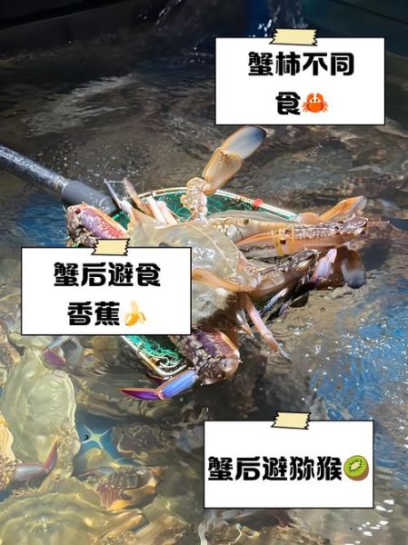 吃完螃蟹不能吃什么_吃完螃蟹不能喝什么-第1张图片-山城妙识