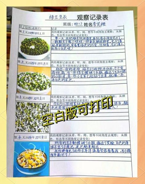 绿豆发芽需要几天_绿豆发芽记录表格怎么看-第1张图片-山城妙识