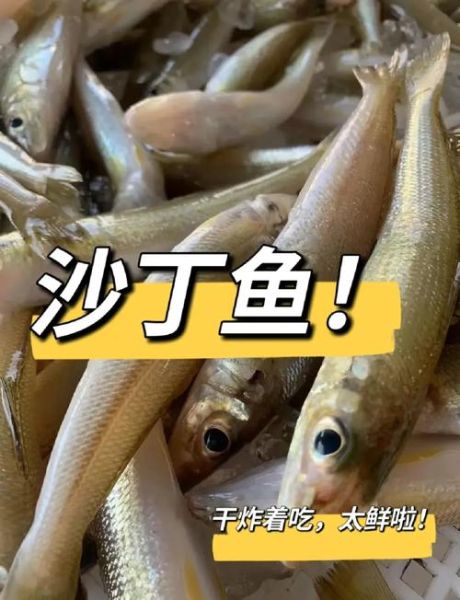 沙丁鱼怎么做好吃_沙丁鱼做法视频教程-第1张图片-山城妙识 沙丁鱼怎么做好吃_沙丁鱼做法视频教程-第1张图片-山城妙识