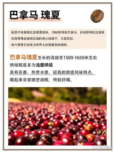 哥伦比亚咖啡豆和阿拉比卡咖啡豆区别_哪个更好喝-第2张图片-山城妙识 哥伦比亚咖啡豆和阿拉比卡咖啡豆区别_哪个更好喝-第2张图片-山城妙识