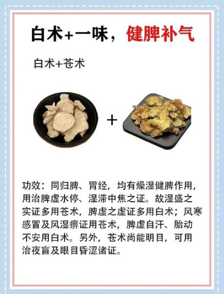 白术的功效与作用是什么_白术适合哪些人群-第1张图片-山城妙识 白术的功效与作用是什么_白术适合哪些人群-第1张图片-山城妙识