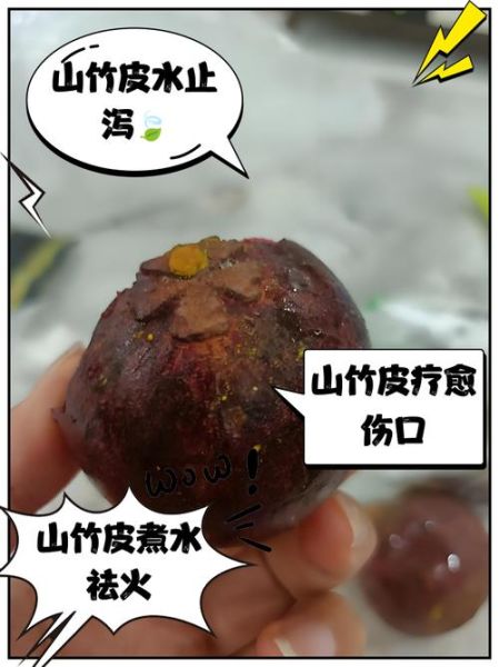 山竹皮的功效与作用_山竹皮有哪些禁忌-第1张图片-山城妙识 山竹皮的功效与作用_山竹皮有哪些禁忌-第1张图片-山城妙识