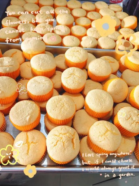 无糖生日蛋糕糖尿病人能吃吗_糖尿病人可以吃无糖蛋糕吗-第1张图片-山城妙识