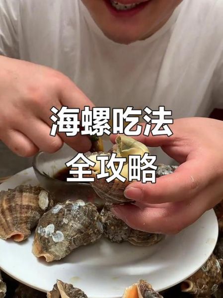 海螺怎么吃_海螺吃法视频教程-第1张图片-山城妙识 海螺怎么吃_海螺吃法视频教程-第1张图片-山城妙识