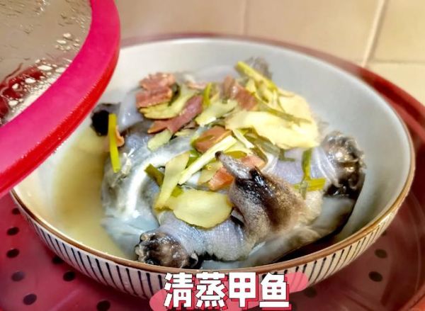 清蒸甲鱼怎么做才嫩_清蒸甲鱼最简单的方法-第2张图片-山城妙识 清蒸甲鱼怎么做才嫩_清蒸甲鱼最简单的方法-第2张图片-山城妙识
