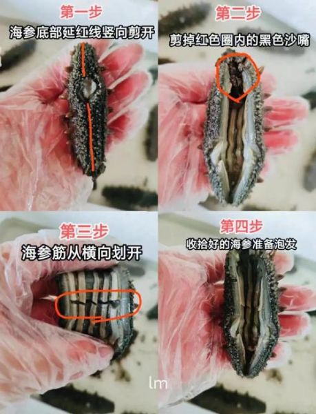 半干海参怎么泡发_半干海参清洗方法-第1张图片-山城妙识