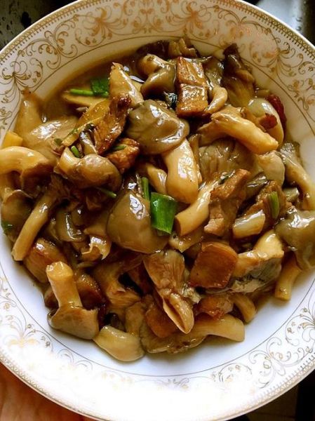 平菇馅包子怎么调馅好吃_平菇包子蒸多久才熟-第3张图片-山城妙识 平菇馅包子怎么调馅好吃_平菇包子蒸多久才熟-第3张图片-山城妙识