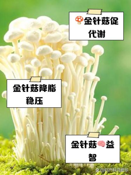 金针菇营养价值_金针菇功效与作用-第3张图片-山城妙识 金针菇营养价值_金针菇功效与作用-第3张图片-山城妙识