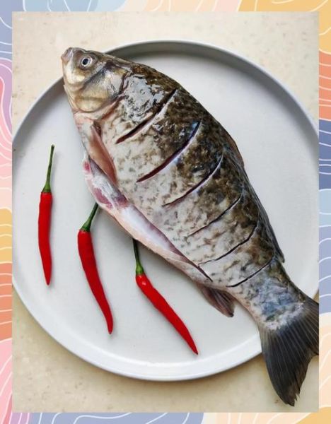 红烧鲫鱼怎么做好吃_红烧鲫鱼的做法步骤-第3张图片-山城妙识 红烧鲫鱼怎么做好吃_红烧鲫鱼的做法步骤-第3张图片-山城妙识