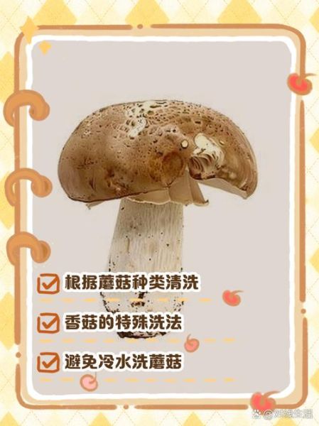 香菇怎么洗才干净_干香菇和鲜香菇清洗区别-第2张图片-山城妙识 香菇怎么洗才干净_干香菇和鲜香菇清洗区别-第2张图片-山城妙识