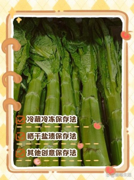 春笋怎么保存时间长_春笋可以放多久-第2张图片-山城妙识