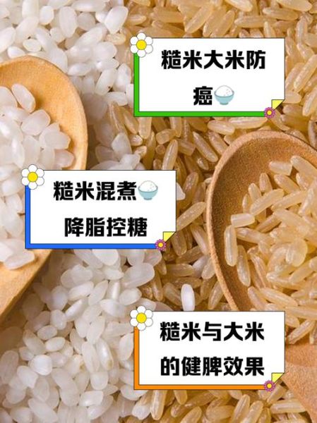 糙米怎么读_糙米和大米区别-第3张图片-山城妙识