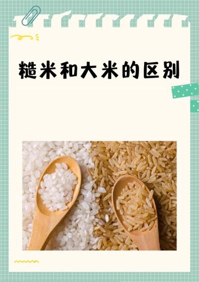糙米怎么读_糙米和大米区别-第2张图片-山城妙识