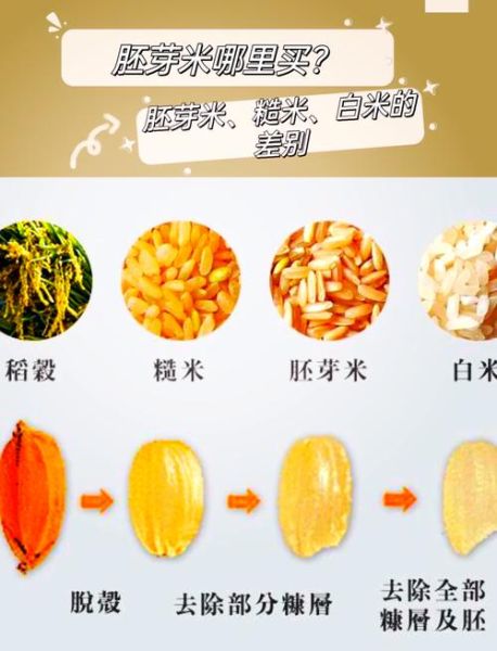 糙米怎么读_糙米和大米区别-第1张图片-山城妙识