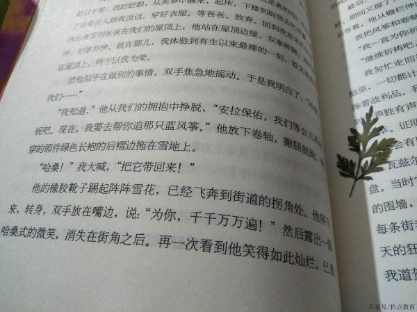 海棠文学是什么_海棠文学怎么写-第3张图片-山城妙识 海棠文学是什么_海棠文学怎么写-第3张图片-山城妙识